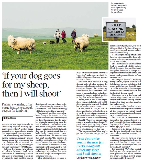 Recent work – Robyn Vinter